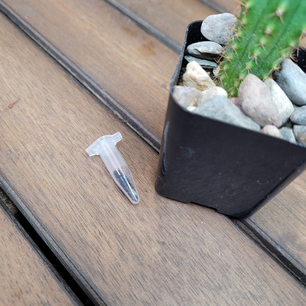 Tricho Cereus Cactus Seed Kit with 100 Seeds included Variety Seeds ...