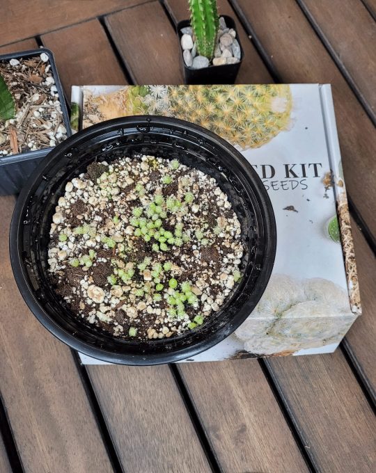 Kits – The Pioneer Nursery