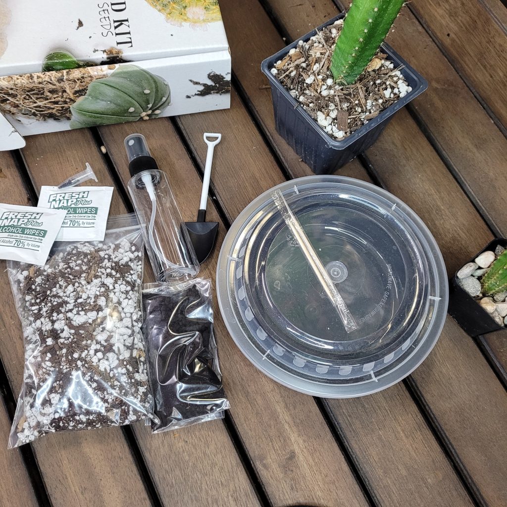 Small Cactus Variety Cacti Cactus Seed Garden Kit 100 Seeds Included ...