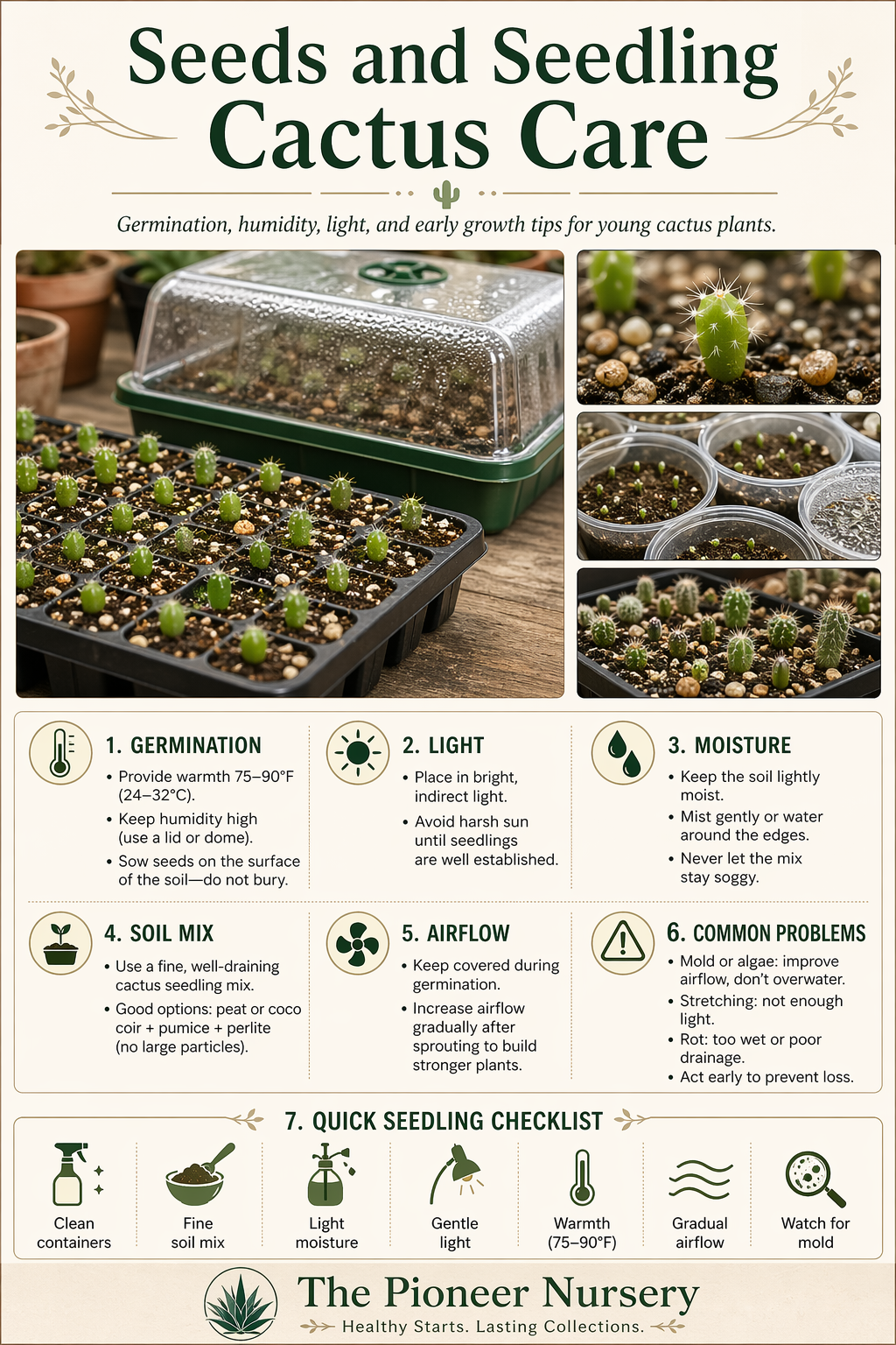 Seeds and Seedling Cactus Care – Pioneer Nursery